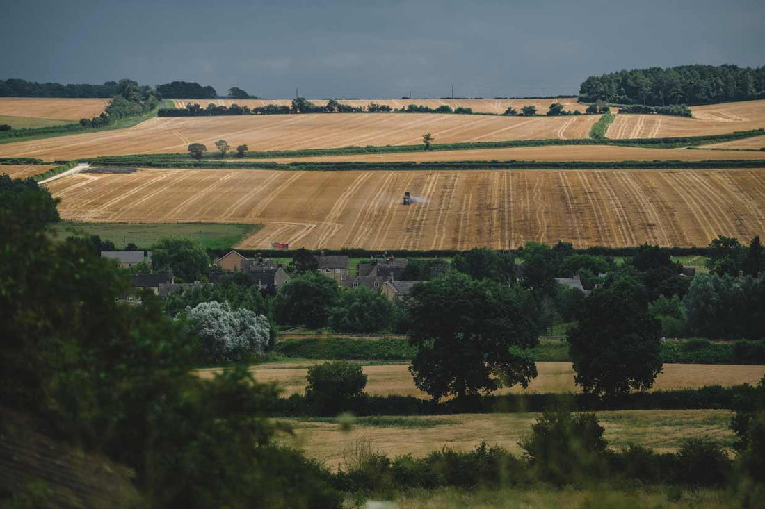 All Purpose Flour – Cotswold Flour